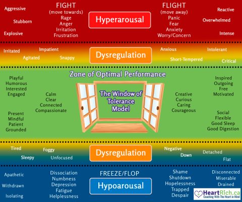 Beyond Stress Management: Expanding Your Window of Tolerance